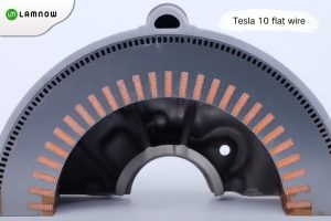 Brushless DC Motor Stator Winding | Lamnow
