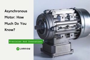 Asynchronous Motor: How Much Do You Know?